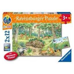 Ravensburger Kinderpuzzle 2x12 Teile - Wieso? Weshalb? Warum? Tiere im Wald und auf der Wiese