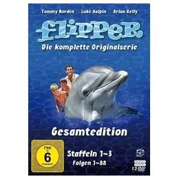 Flipper Gesamtedition - Die komplette Originalserie (Staffeln 1-3) (Fernsehjuwelen) [12 DVDs]