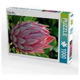 Calvendo Protea, Maui (Puzzle)
