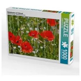 Calvendo Mohnblumen am Feldrand (Puzzle)
