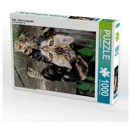 Calvendo Suki - kleine Leopardin (Puzzle)