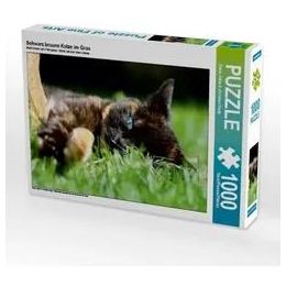 Calvendo Schwarz braune Katze im Gras (Puzzle)