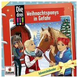 Adventskalender/Weihnachtsponys in Gefahr