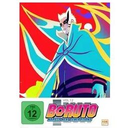 PLAION Boruto: Naruto Next Generations - Volume 12 (Ep. 205-220) [3 DVDs]