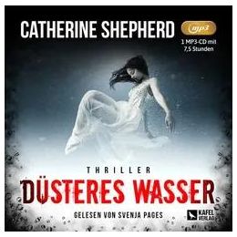 D&uuml;steres Wasser: Thriller