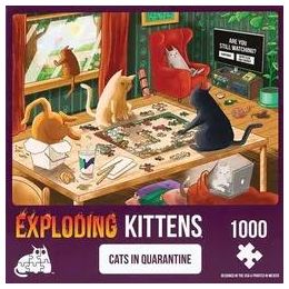 EXPLODING KITTENS Puzzle Cats in Quarantine (1000 Teile)