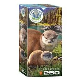 Eurographics Otter (Puzzle)