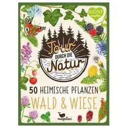 Tour durch die Natur - 50 heimische Pflanzen - Wald & Wiese