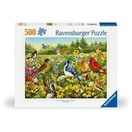 Ravensburger Vogelwiese