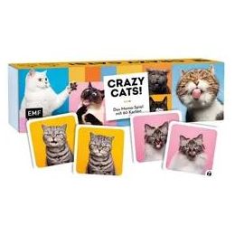Memo-Spiel: Crazy cats!