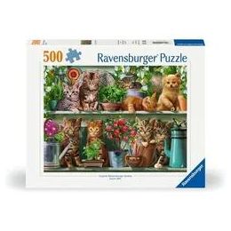 Ravensburger Erwachsenenpuzzle 500 Teile - Katzen im Regal