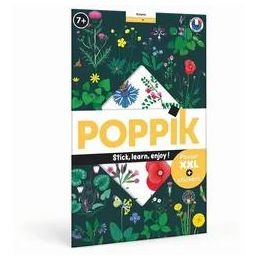 POPPIK - Lernposter & Sticker Botanik