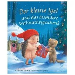 Der kleine Igel und das besondere Weihnachtsgeschenk