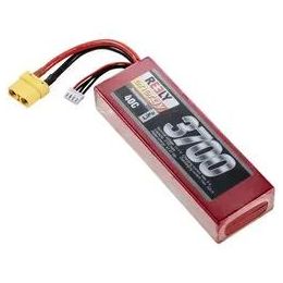Reely Modellbau-Akkupack (LiPo) 11.1V 3700 mAh Zellen-Zahl: 3 40 C Hardcase XT90