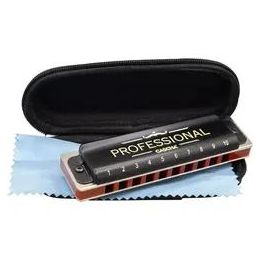 Professional Blues Harmonica in D (incl. case and cleaning cloth)