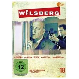 Wilsberg 18 - Die Entf&uuml;hrung/Treuetest