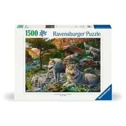 Ravensburger Wolfsrudel im Fr&uuml;hlingserwachen