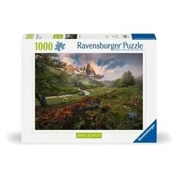 Ravensburger Erwachsenenpuzzle 1000 Teile - Malerische Stimmung im Vall&eacute;e de la Clar&eacute;e, Franz&ouml;sische Alpen