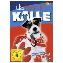 Da kommt Kalle - Staffel 1 [3 DVDs]
