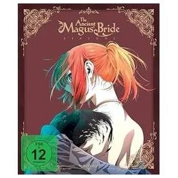 The Ancient Magus Bride - Staffel 2 - Part 1 - DVD mit Sammelschuber [2 DVDs]