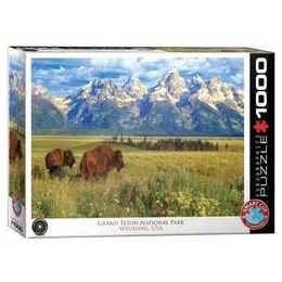 Eurographics Grand Teton National Park - 1000 Teile