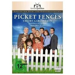 Picket Fences - Tatort Gartenzaun - Die komplette Staffel 2 [6 DVDs]
