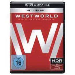 Westworld - Die komplette 1. Staffel (3 Blu-rays 4K Ultra HD) (+ 3 Blu-rays 2D)