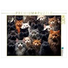 Calvendo Puzzle Viele Katzen auf einem Bild 1000 Teile Lege-Gr&ouml;&szlig;e 64x48cm Foto-Puzzle f&uuml;r gl&uuml;ckliche Stunden