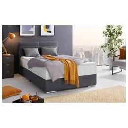 Boxbett COTTA "Tom mit Bettkasten, Topper und Zierkissen", grau (anthrazit), B:145cm L:209cm, Komplettbetten, Bett Betten mit Bettkasten, Bestseller, Unser Dauertiefpreis, Topseller
