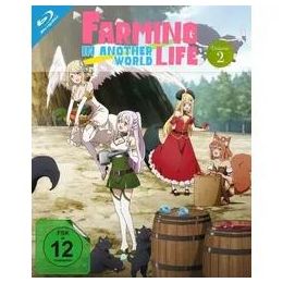 PLAION Farming Life in Another World: Vol. 2 (Ep. 7-12) im Sammelschuber