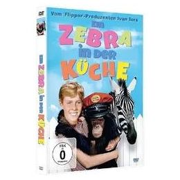 375 Media Ein Zebra In Der K&uuml;che