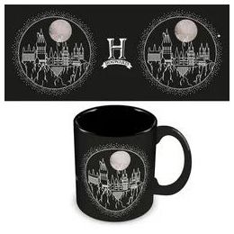 Harry Potter (Artifact) Black Matt Mug