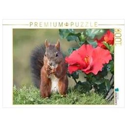 Calvendo Puzzle Dunkelpuschel mit gro&szlig;er Hibiskusbl&uuml;te 1000 Teile Lege-Gr&ouml;&szlig;e 64x48cm Foto-Puzzle f&uuml;r gl&uuml;ckliche Stunden