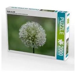 Calvendo Wei&szlig;e ALLIUM (Puzzle)