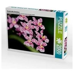 Calvendo Zauberhafte Orchideen (Puzzle)