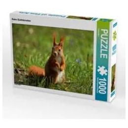 Calvendo Puzzle Rotes Eichh&ouml;rnchen 1000 Teile Lege-Gr&ouml;&szlig;e 64 x 48 cm Foto-Puzzle Bild von Kattobello