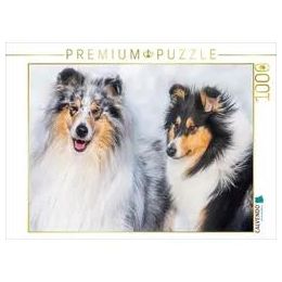 Calvendo Puzzle Collies - R&uuml;de und H&uuml;ndin 1000 Teile Lege-Gr&ouml;&szlig;e 64x48cm Foto-Puzzle f&uuml;r gl&uuml;ckliche Stunden