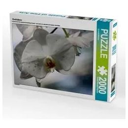 Calvendo Orchideen (Puzzle)