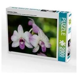 Calvendo Orchideen Makro (Puzzle)