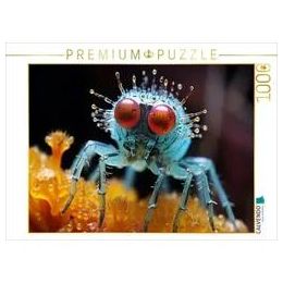 Calvendo Puzzle Puck die Stubenfliege - Mikroorganismen 1000 Teile Lege-Gr&ouml;&szlig;e 64x48cm Foto-Puzzle f&uuml;r gl&uuml;ckliche Stunden
