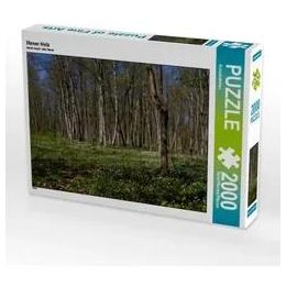 Calvendo Iltener Holz (Puzzle)