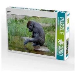 Calvendo Gorilla (Puzzle)