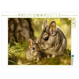Calvendo Puzzle Ein Motiv aus dem Kalender "Tierkinder des S&uuml;dens" 1000 Teile Lege-Gr&ouml;&szlig;e 64x48cm Foto-Puzzle f&uuml;r gl&uuml;ckliche Stunden