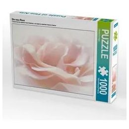 Calvendo Die rosa Rose (Puzzle)