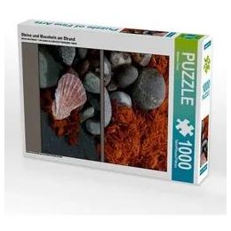 Calvendo Steine und Muscheln am Strand (Puzzle)