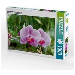 Calvendo Orchidee Phalaenopsis Pink (Puzzle)