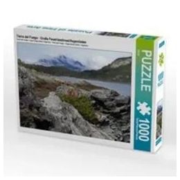 Calvendo Puzzle Tierra del Fuego - Gro&szlig;e Feuerlandinsel/Argentinien 1000 Teile Lege-Gr&ouml;&szlig;e 64 x 48 cm Foto-Puzzle Bild von Flori0