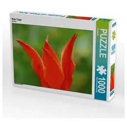 Calvendo Rote Tulpe (Puzzle)