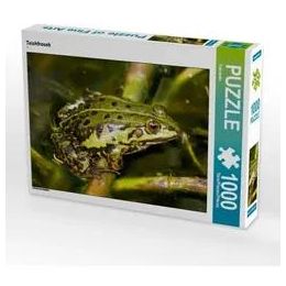 Calvendo Teichfrosch (Puzzle)