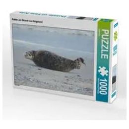 Calvendo Puzzle Robbe am Strand von Helgoland 1000 Teile Lege-Gr&ouml;&szlig;e 64 x 48 cm Foto-Puzzle Bild von kattobello